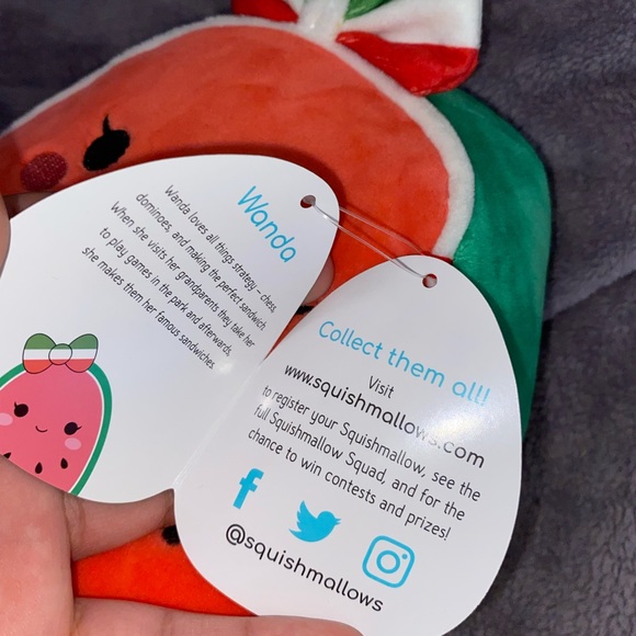 Squishmallows | Other | Squishmallow Watermelon Wanda Mexico Edition ...